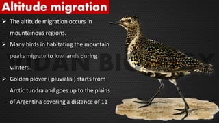BIRD MIGRATION (ANIMAL BEHAVIOR) | PDF