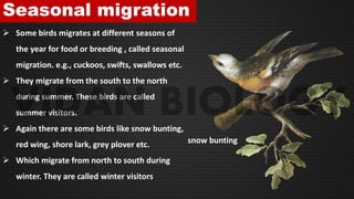 BIRD MIGRATION (ANIMAL BEHAVIOR) | PDF