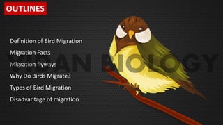 BIRD MIGRATION (ANIMAL BEHAVIOR) | PDF