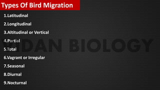 BIRD MIGRATION (ANIMAL BEHAVIOR) | PDF
