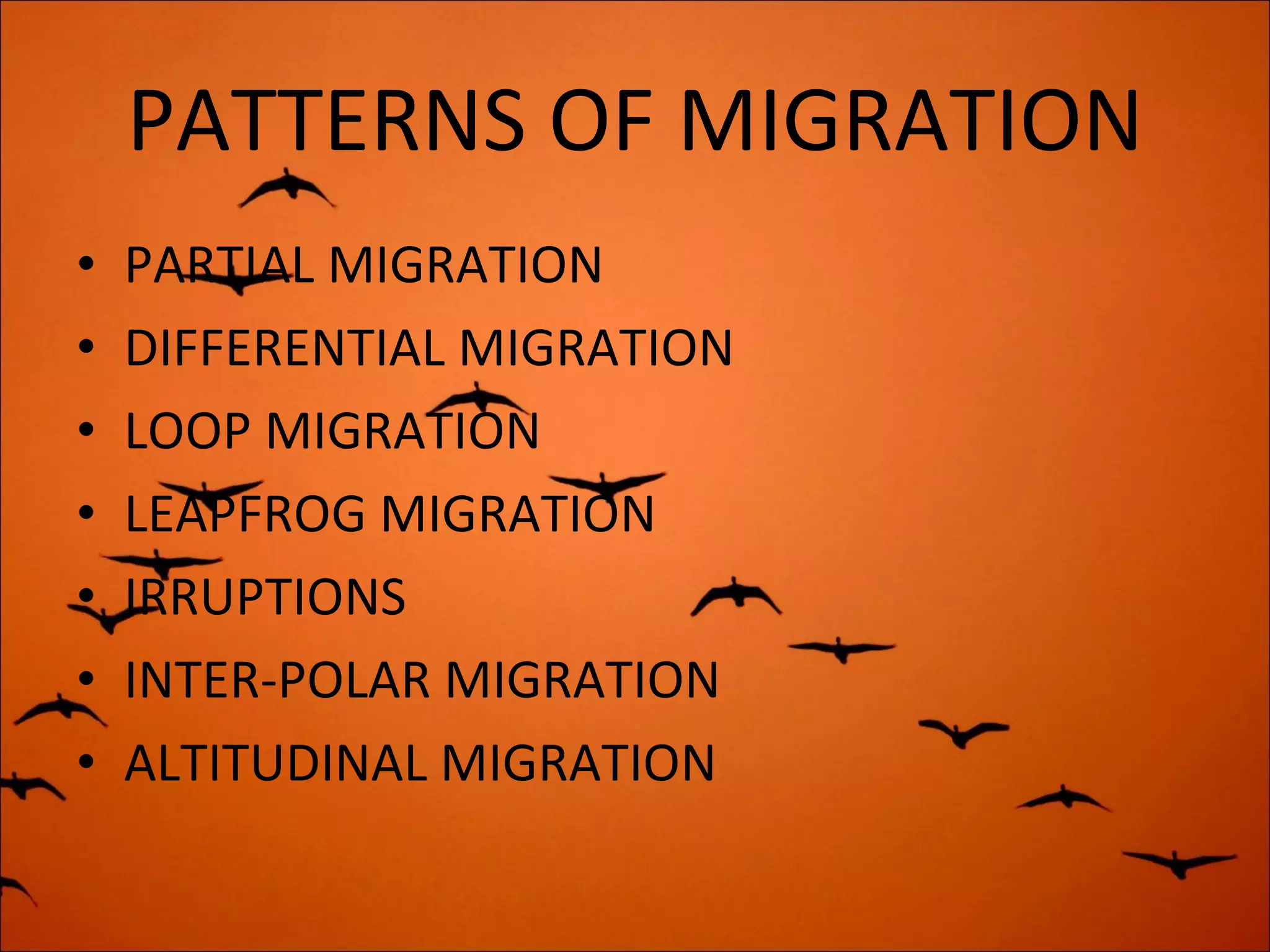Bird Migration | PPT