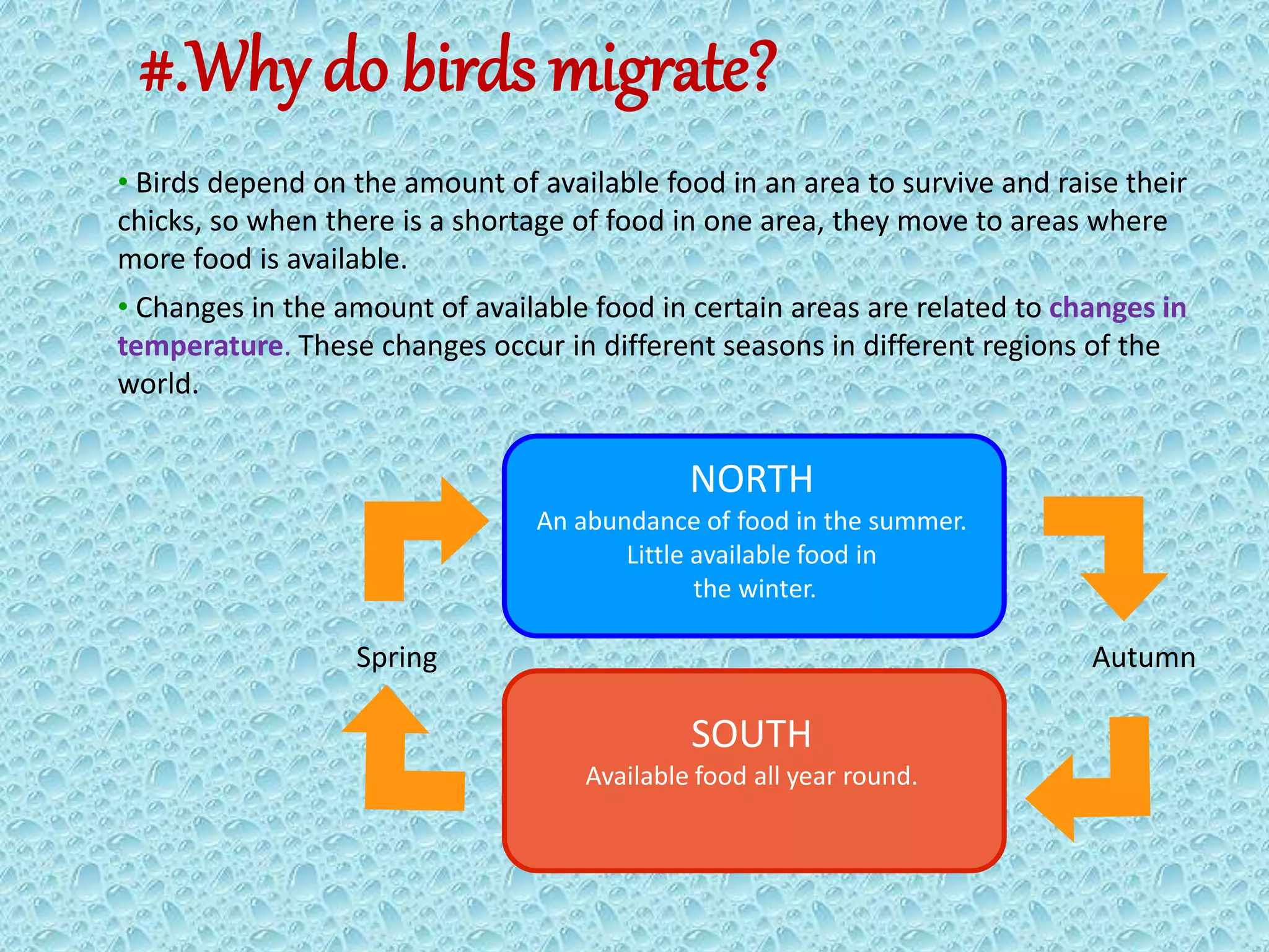 Bird migration | PPTX