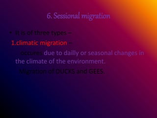 Bird migration | PPTX