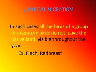 Bird migration | PPTX