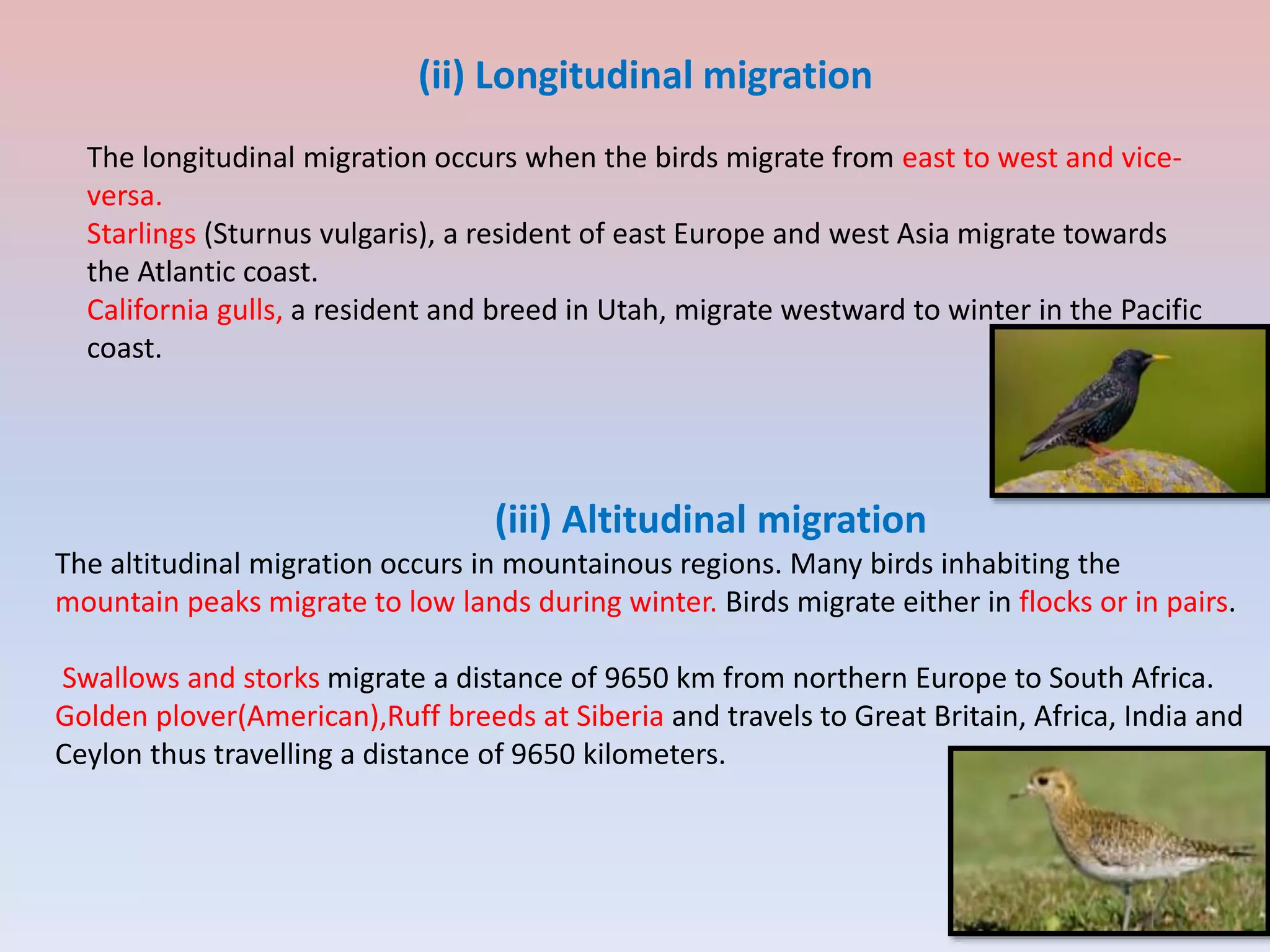 Bird migration, Types of birds, Advantages and disadvantages of birds ...