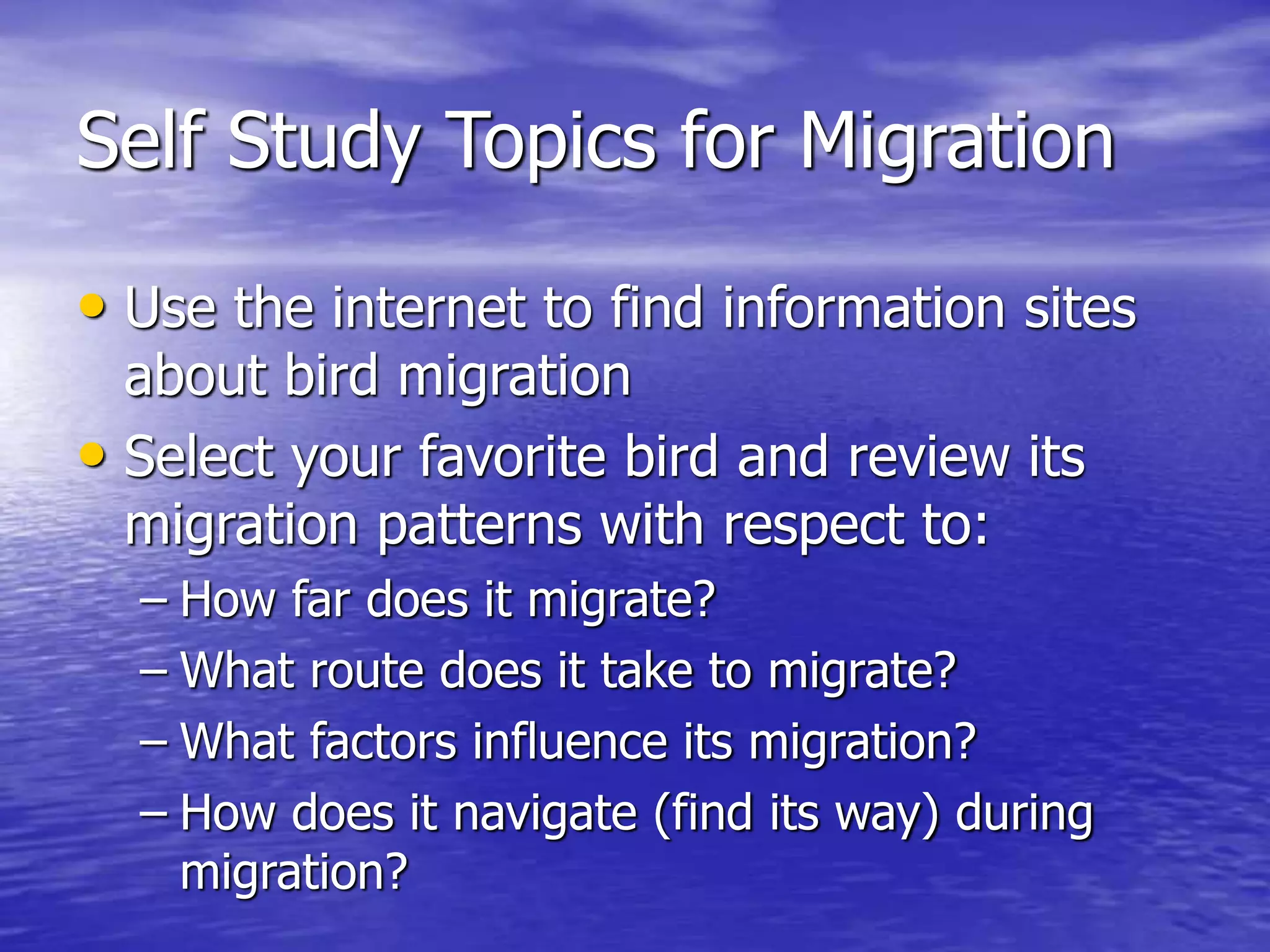 birdmigration.ppt