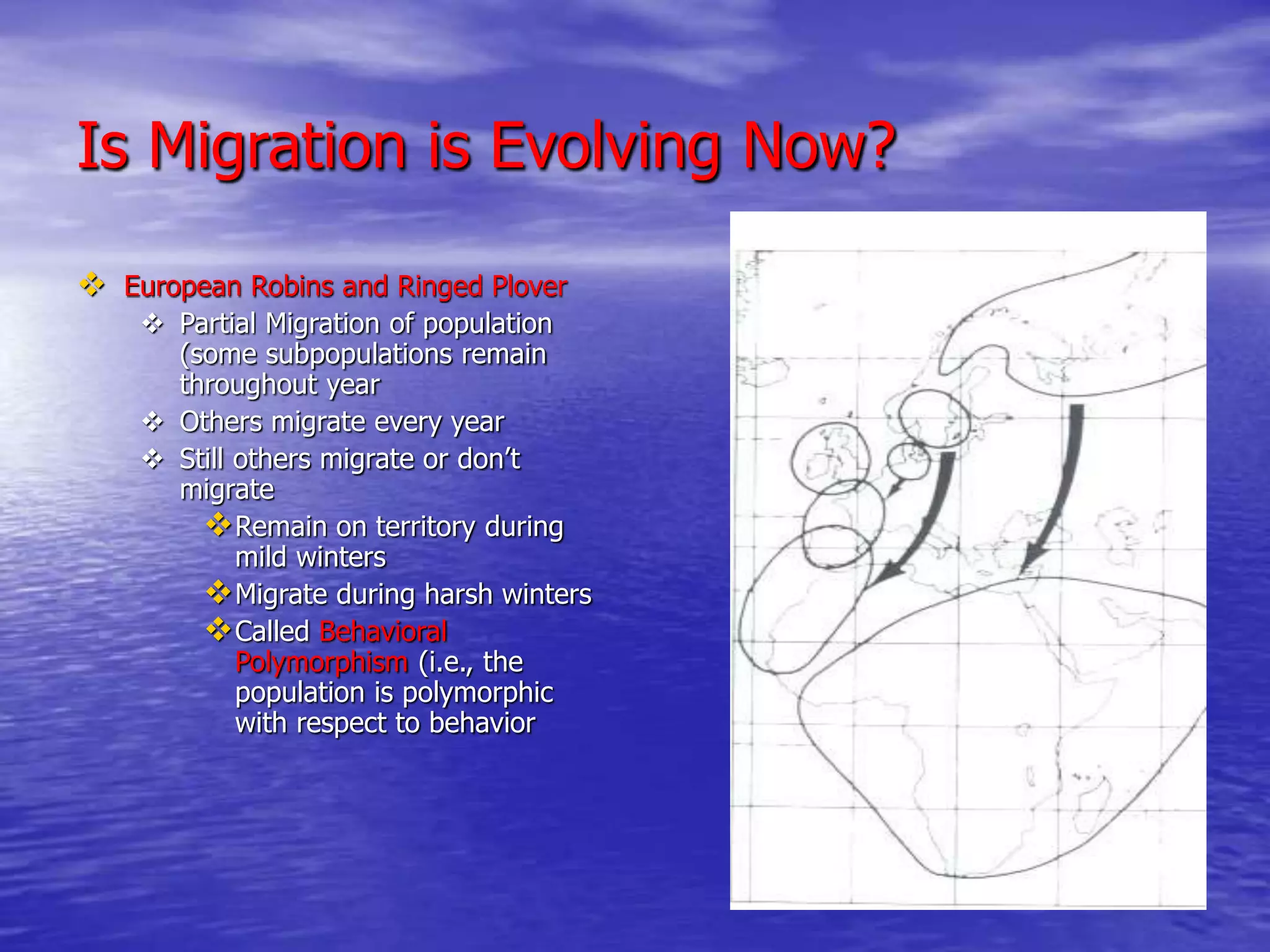 birdmigration.ppt
