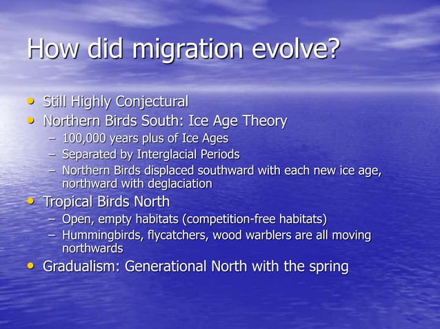 birdmigration.ppt