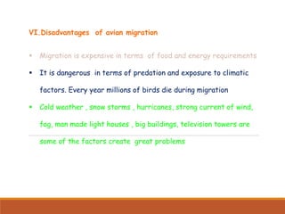 Chordates, Aves Bird migration and flight adaptations | PPTX ...