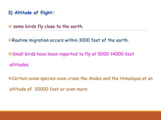 Chordates, Aves Bird migration and flight adaptations | PPTX ...
