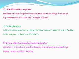 Bird migration7 | PPT