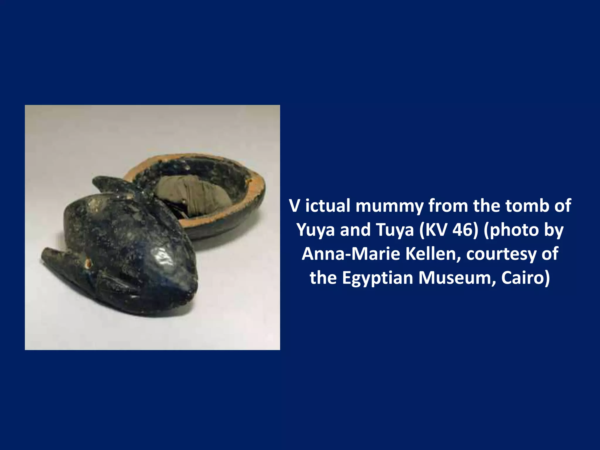 Bird mummies from ancient egypt | PPTX | Birdwatching | Hobbies & Interests
