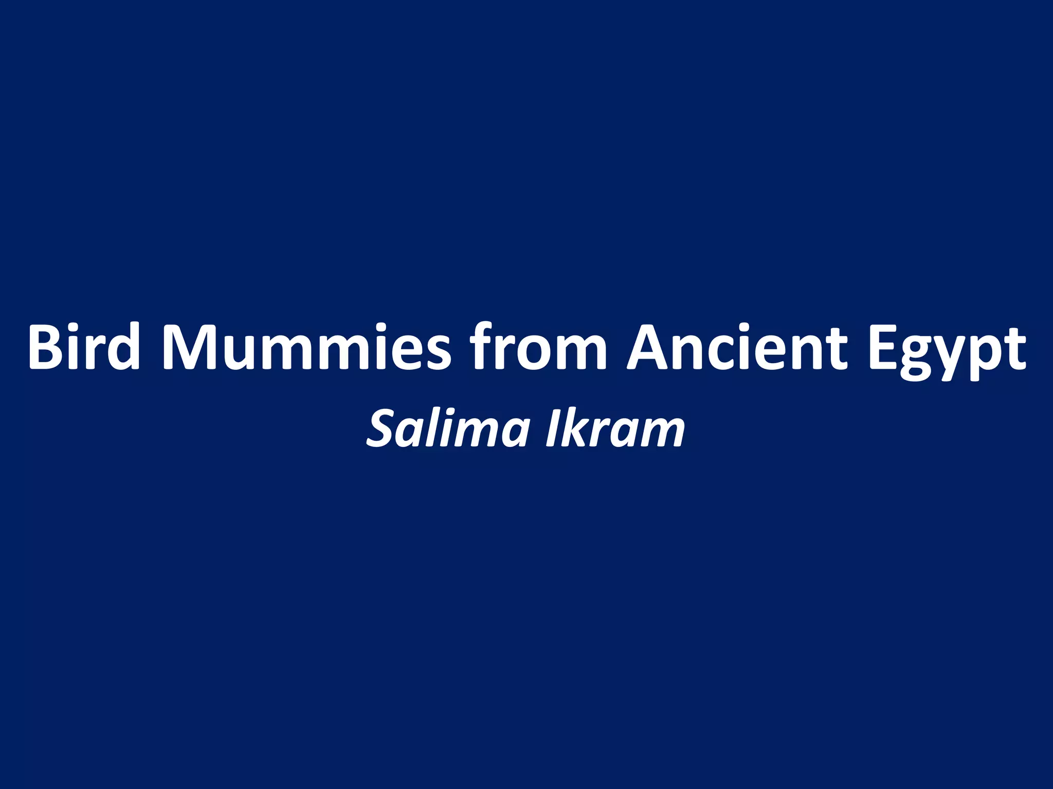Bird mummies from ancient egypt | PPT