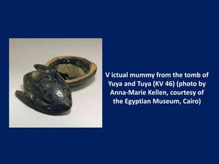Bird mummies from ancient egypt | PPTX | Birdwatching | Hobbies & Interests