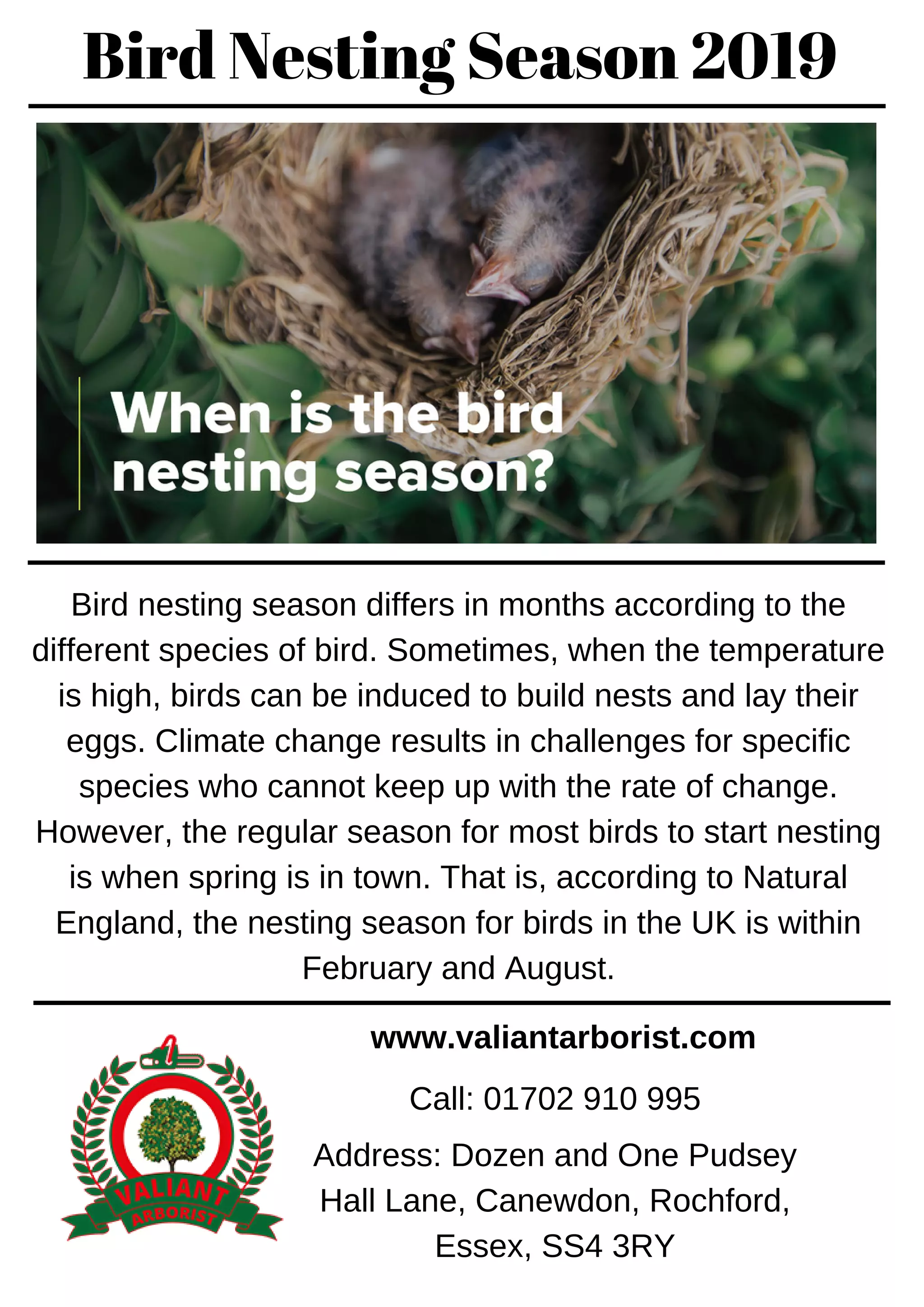 WHEN IS THE BIRD NEST SEASON? | PDF