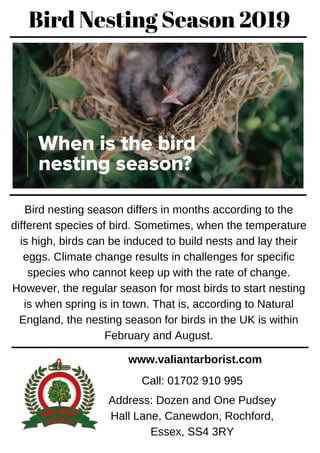 WHEN IS THE BIRD NEST SEASON? | PDF