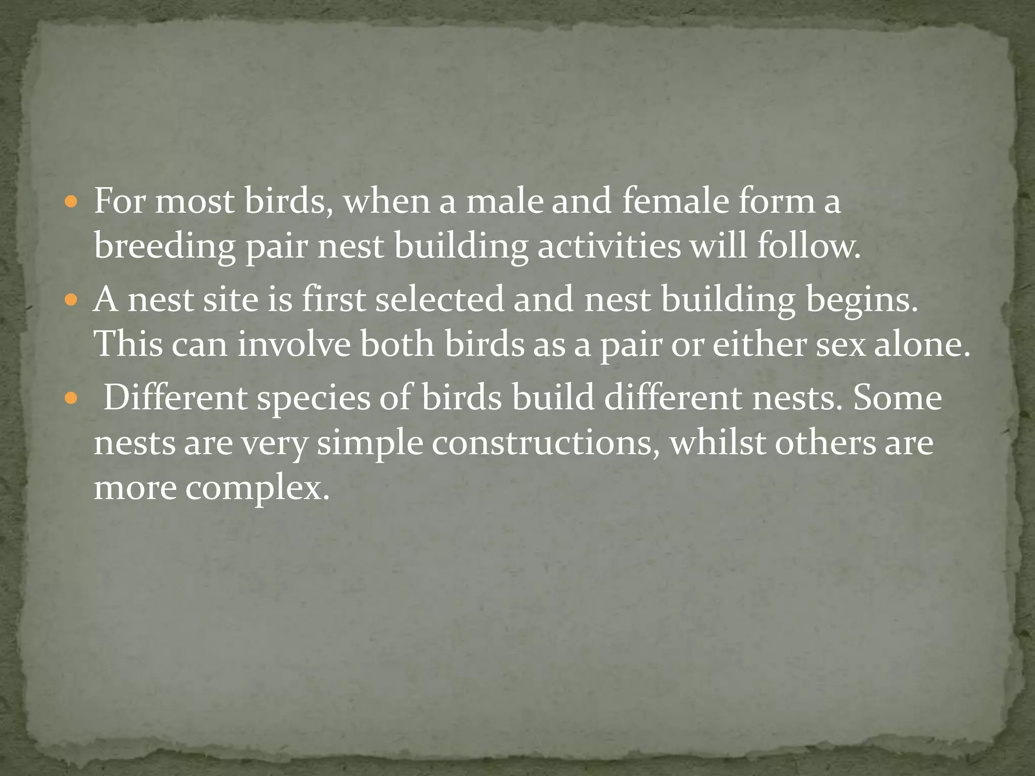 Bird nest type and nesting behaviour in birds | PPTX