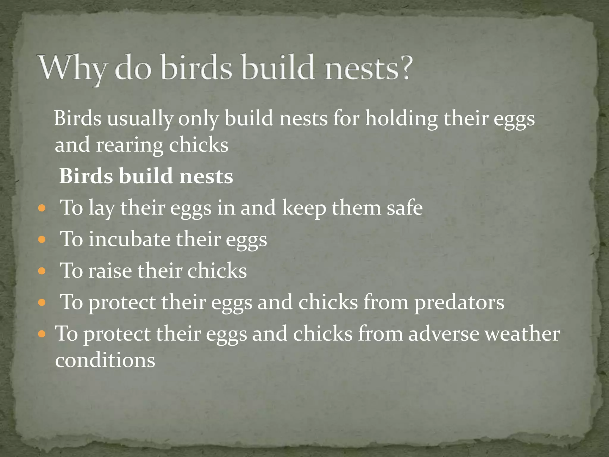 Bird nest type and nesting behaviour in birds | PPTX