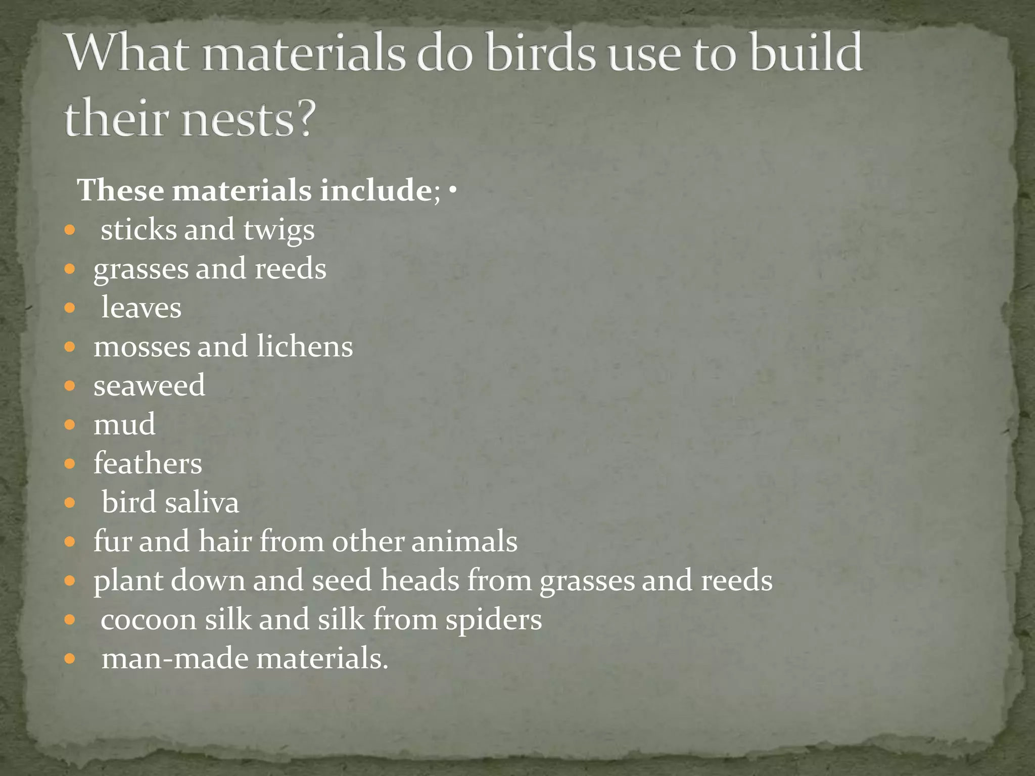 Bird nest type and nesting behaviour in birds | PPTX