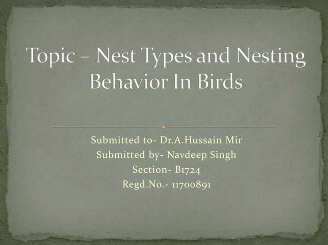 Bird nest type and nesting behaviour in birds | PPTX