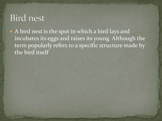 Bird nest type and nesting behaviour in birds | PPTX