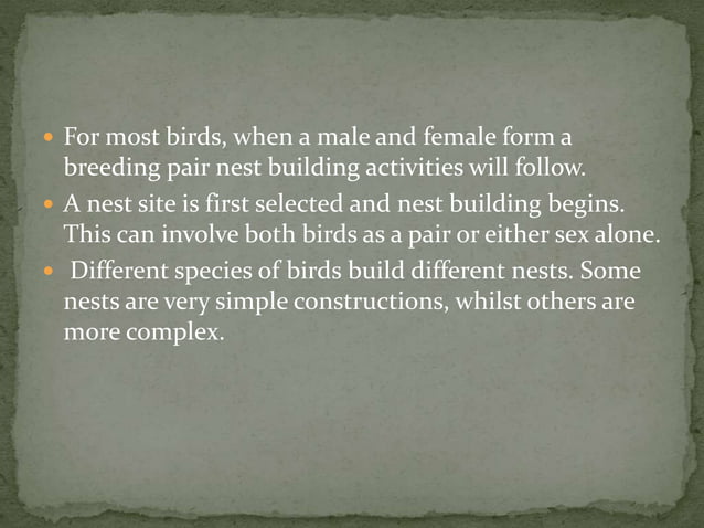 Bird nest type and nesting behaviour in birds | PPTX