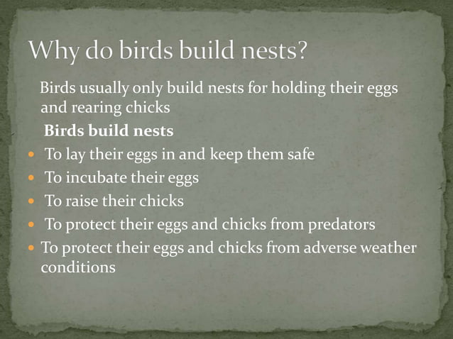 Bird nest type and nesting behaviour in birds | PPTX