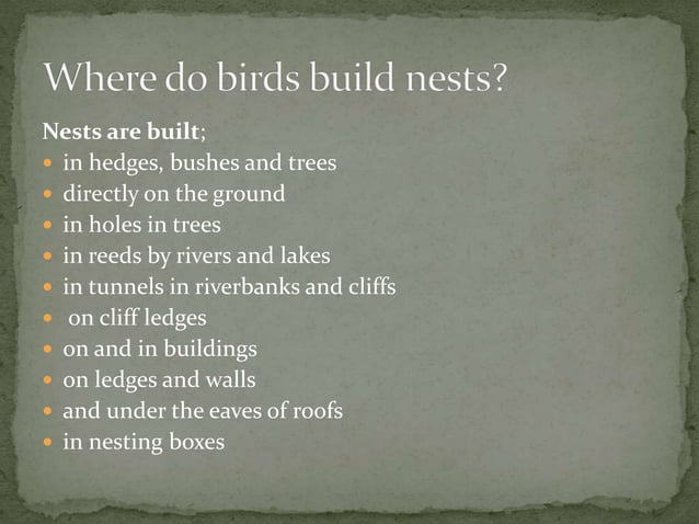 Bird nest type and nesting behaviour in birds | PPTX