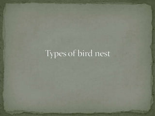 Bird nest type and nesting behaviour in birds | PPTX