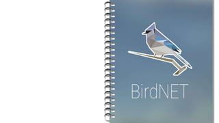 BirdNET.pptx