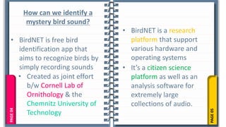 BirdNET.pptx