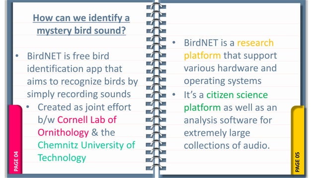 BirdNET.pptx