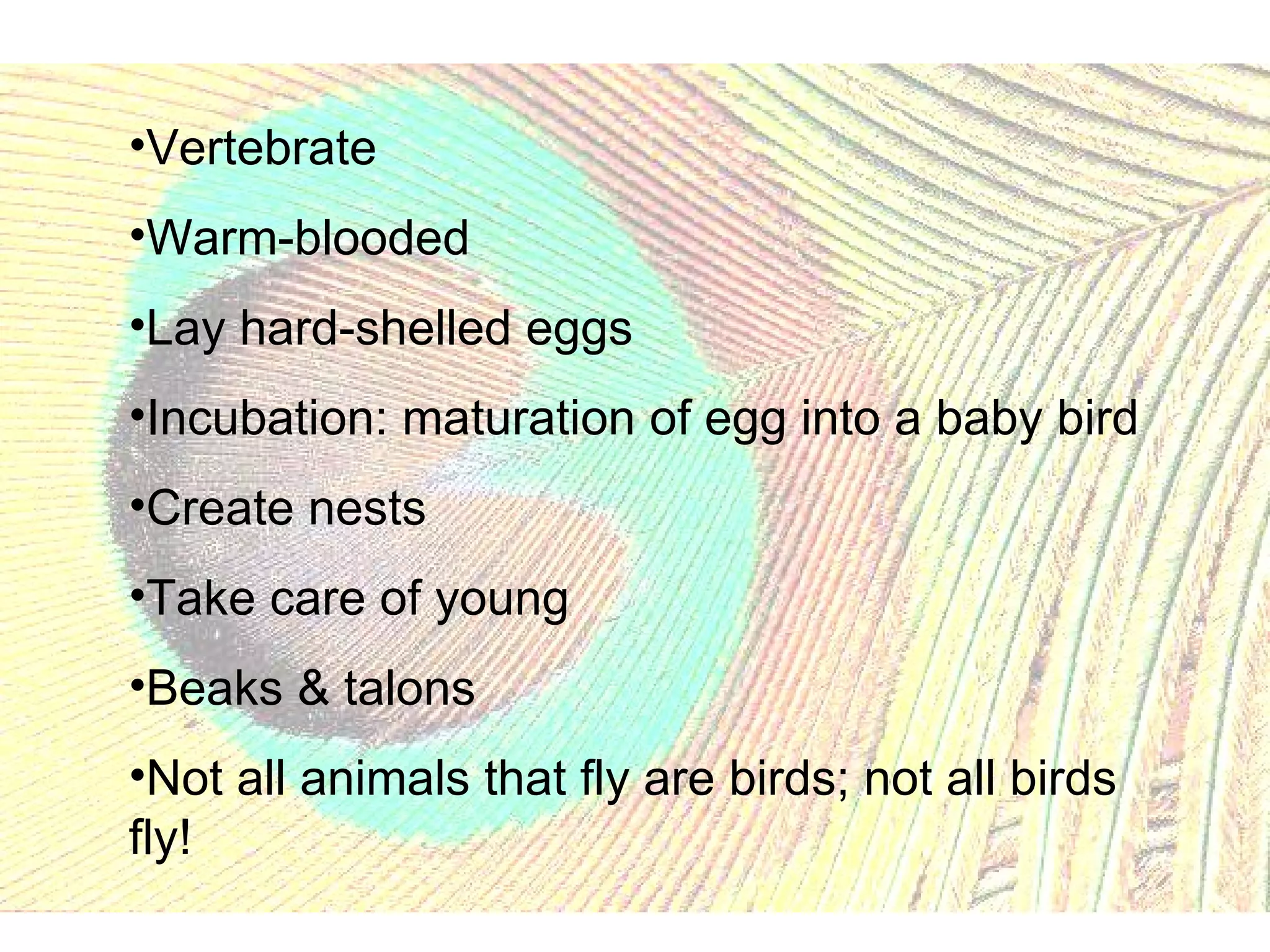 Bird notes Notes on Class Aves, including flight, calls, migratory ...