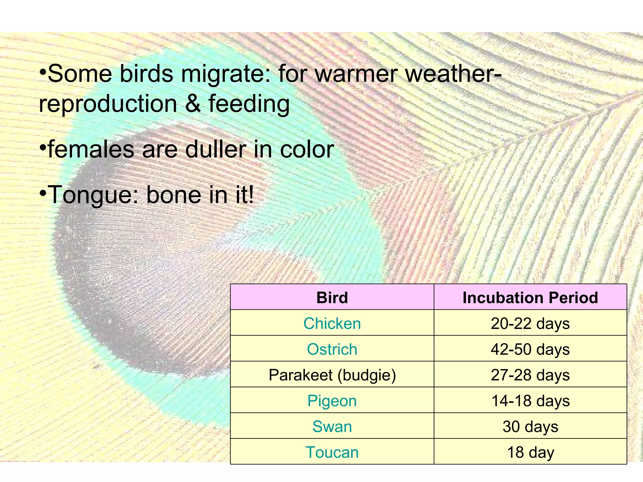 Bird notes Notes on Class Aves, including flight, calls, migratory ...