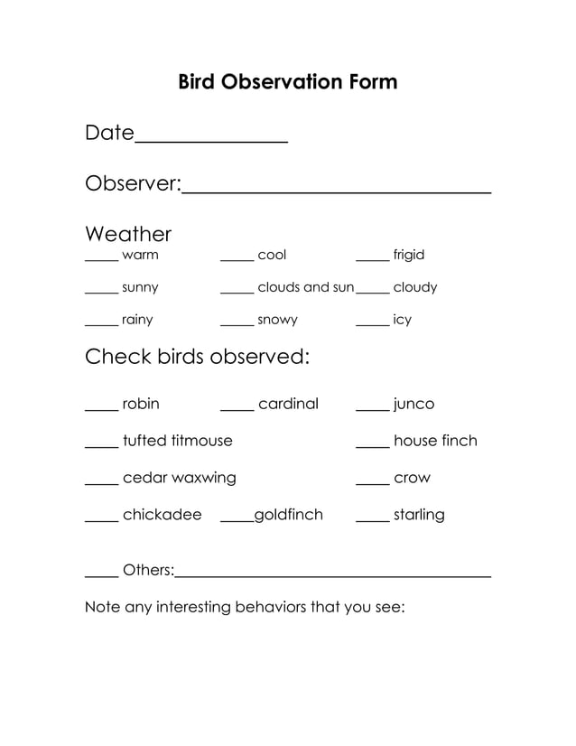 Classroom bird feed observation form | DOCX
