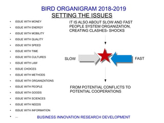 Bird organigram | ODP | Birdwatching | Hobbies & Interests