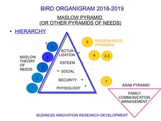 Bird organigram | ODP | Birdwatching | Hobbies & Interests