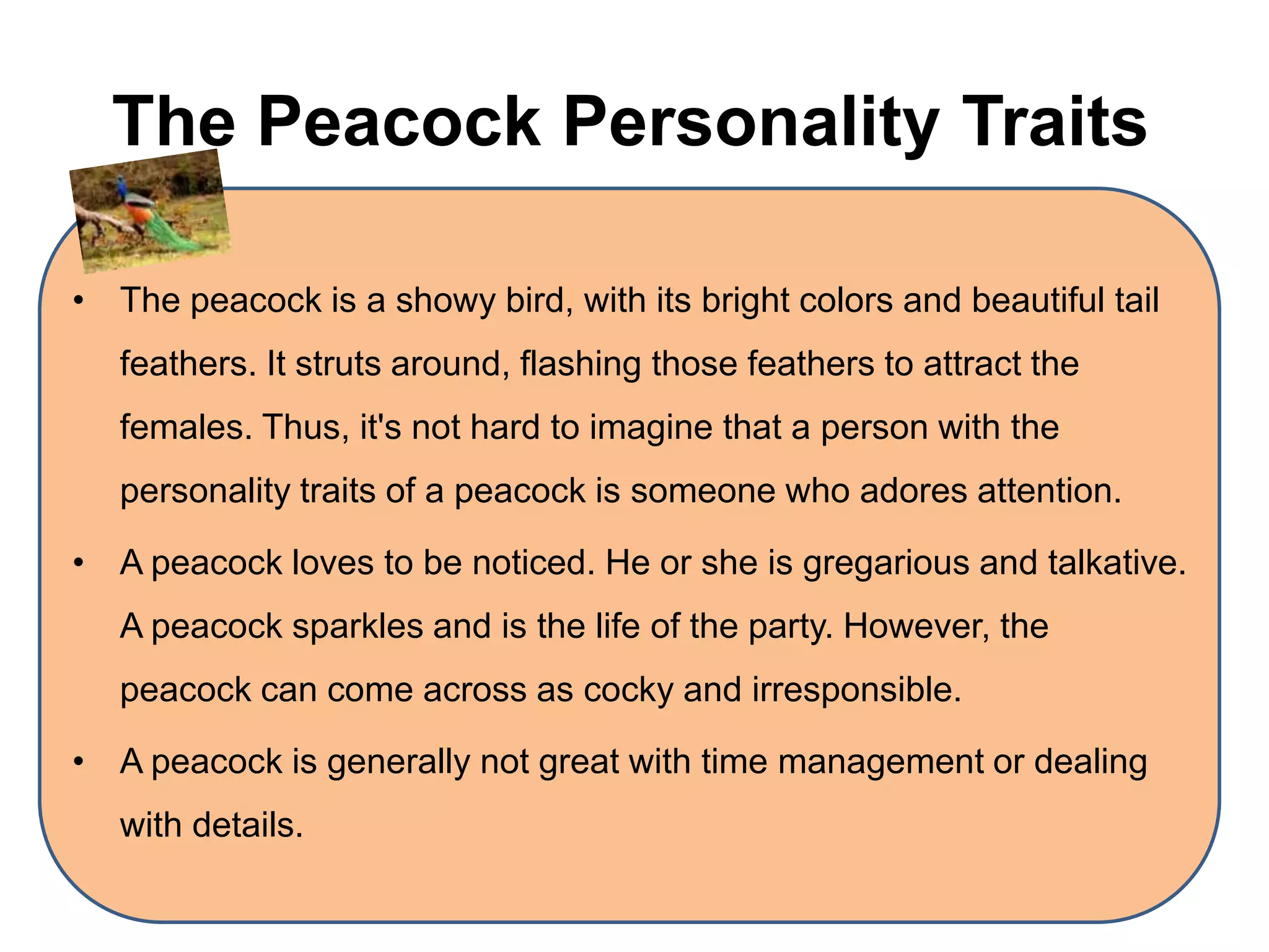 Bird personality | PPTX