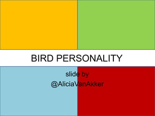 Bird personality | PPTX