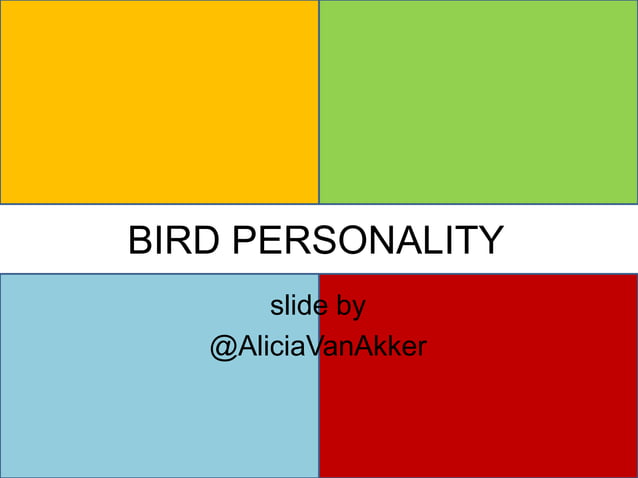 Bird personality | PPTX | Birdwatching | Hobbies & Interests