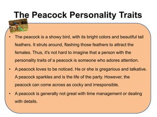 Bird personality | PPTX