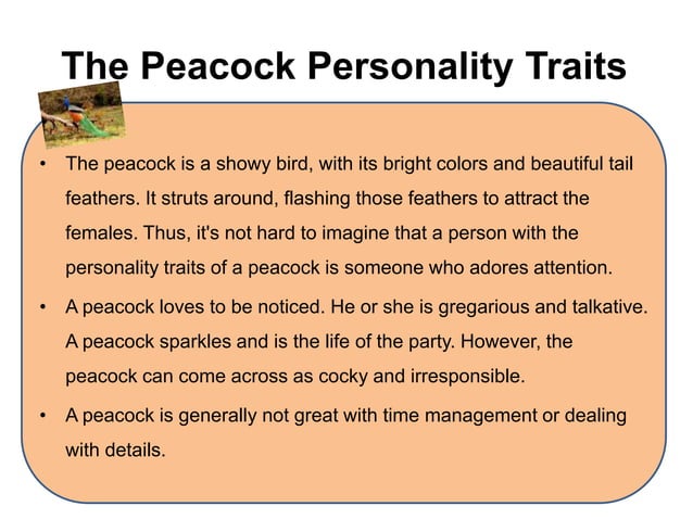 Bird personality | PPTX | Birdwatching | Hobbies & Interests