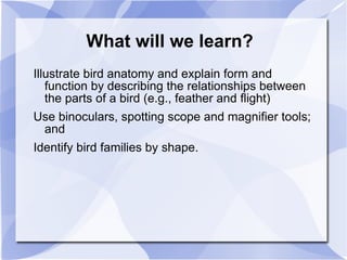 Bird powerpoint | ODP