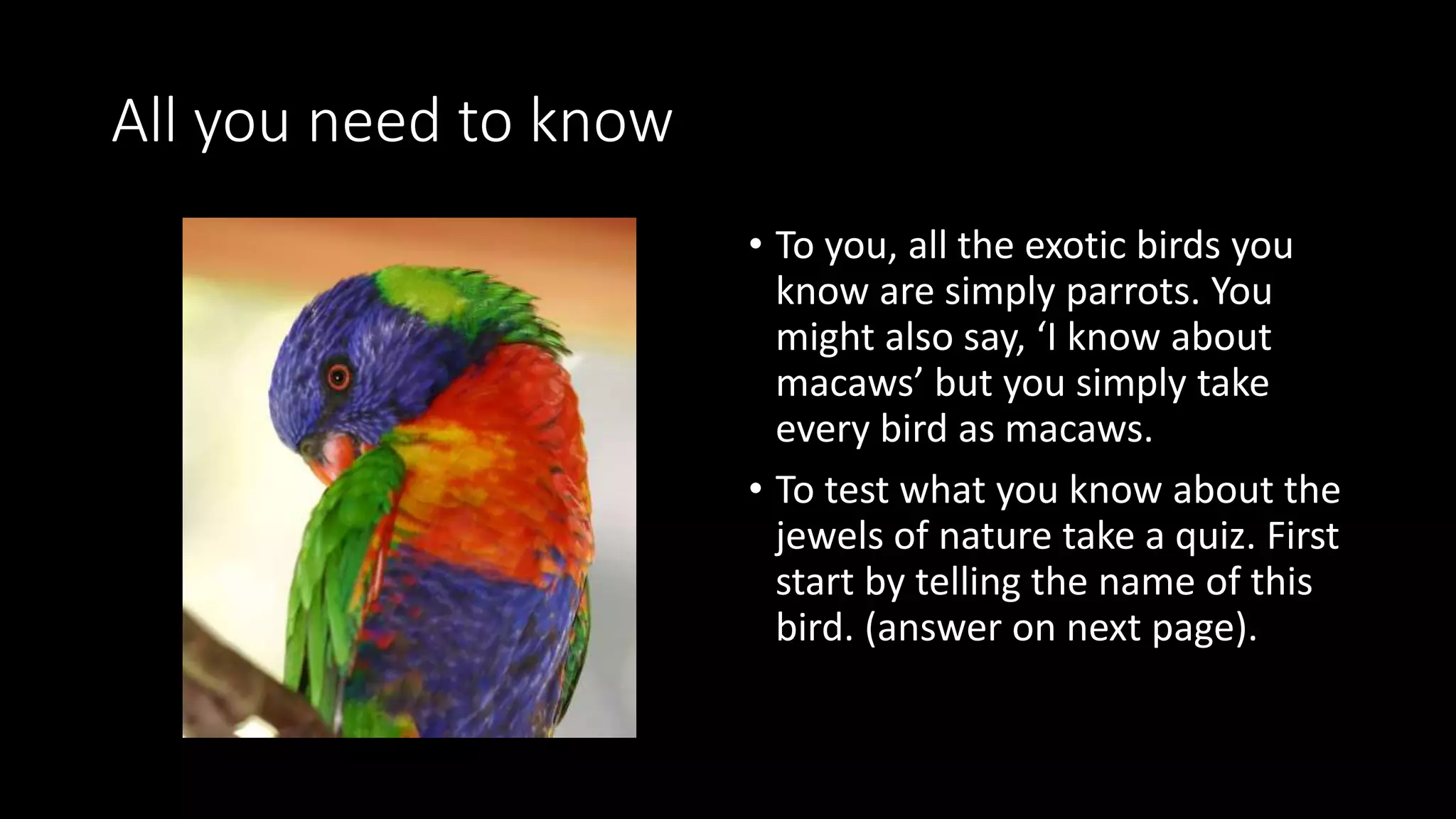 bird quiz | PPTX