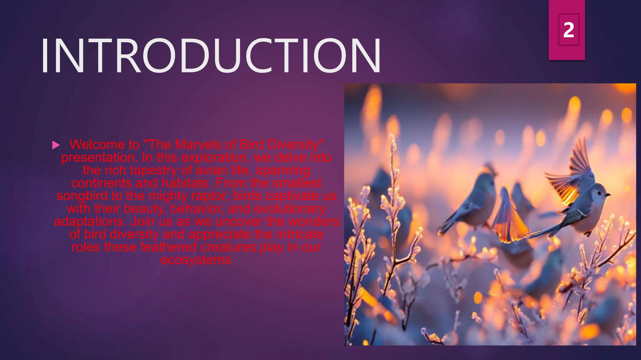 bird ppt Presentation.survey about the bird.pptx. | PPT