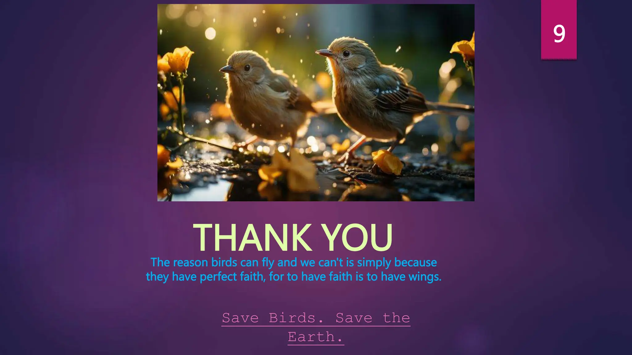 bird ppt Presentation.survey about the bird.pptx. | PPT