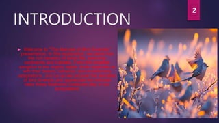 bird ppt Presentation.survey about the bird.pptx. | PPT