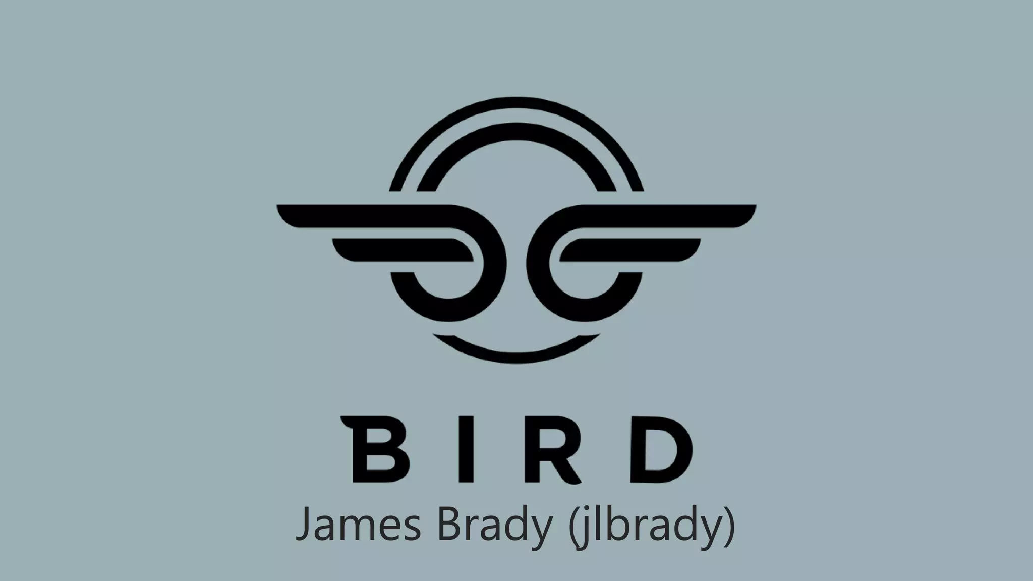 Bird Presentation James Brady | PPTX