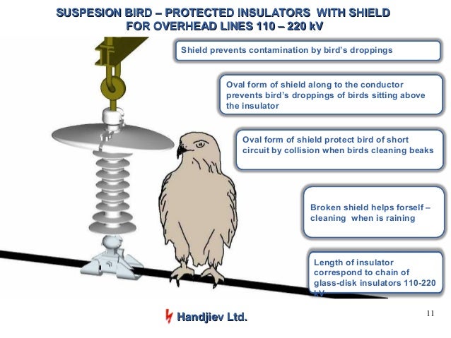 Bird protection insulators+conductor