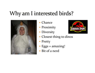My Pecha Kucha: Birds | PDF | Birdwatching | Hobbies & Interests